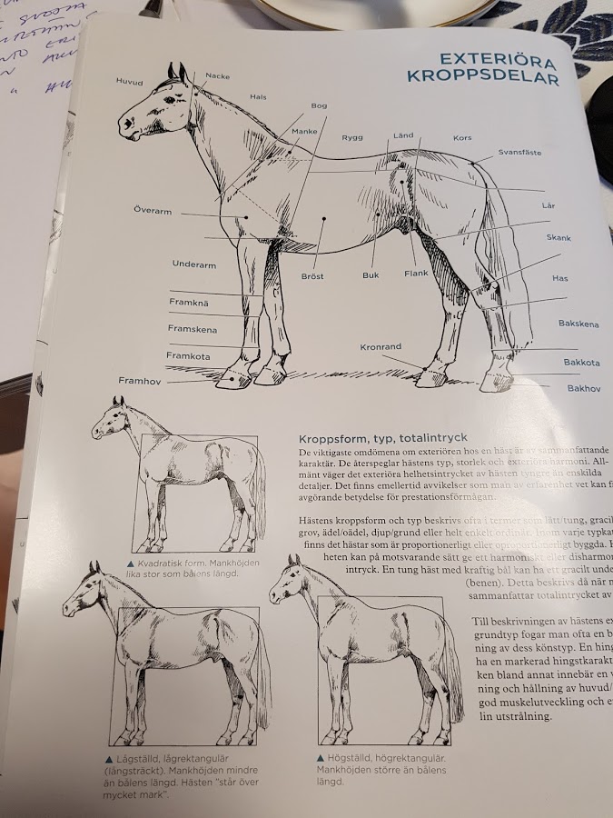 Ja vielä vähän siitä rakenteesta… – Hevosjalostusliitot